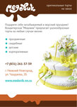 Medovik (Ostrovskogo Street No:14), özel pasta siparişi  Nijni Novgorod'dan