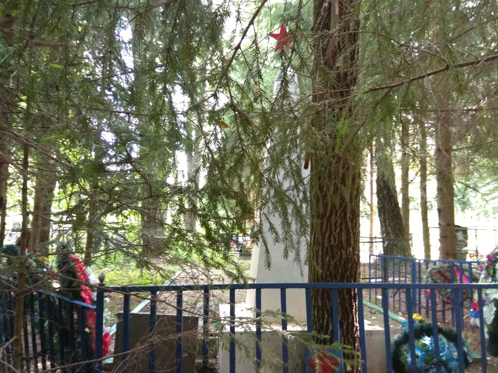 Anıt, heykel Братская могила, Kalujskaya oblastı, foto