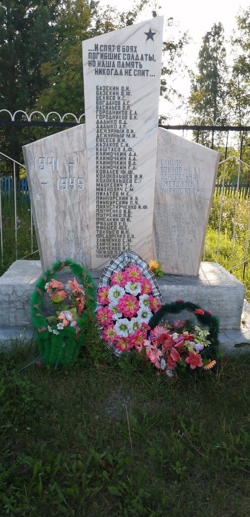 Anıt, heykel Обелиск памяти воинов, погибших в годы Великой Отечественной войны, Novosibirskaya oblastı, foto