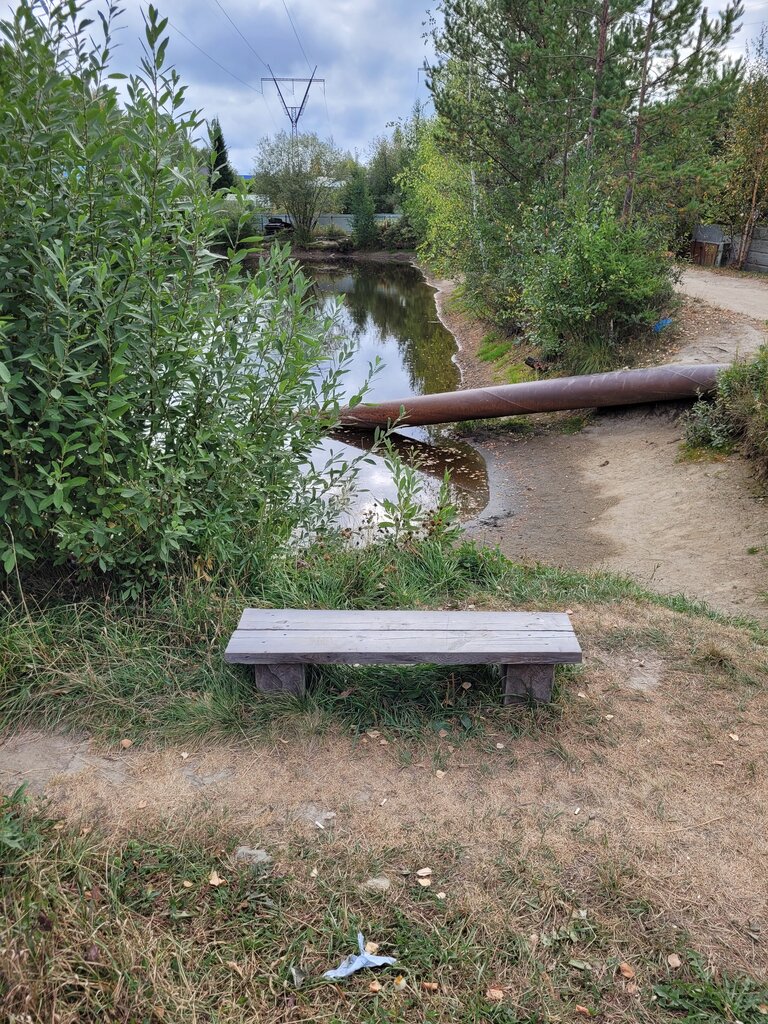 Bahçecilik dernekleri ve kuruluşları СНТ Аметист, Sverdlovskaya oblastı, foto