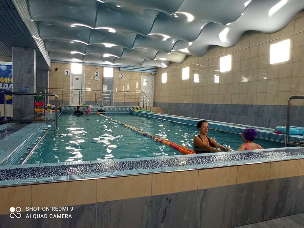 Yüzme havuzları Дельфин Непоседа, Novosibirsk, foto