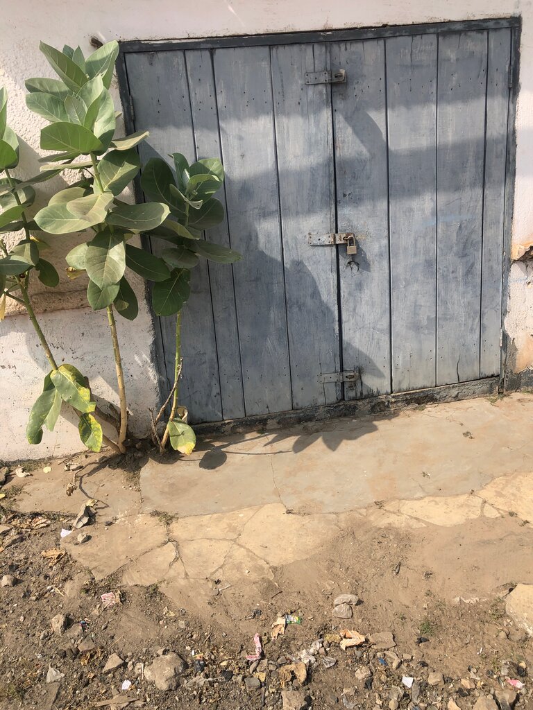 Moda evleri Peace and love, Dünya, foto