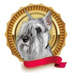 Zwergschnauzer kennel Sky Keeper (Khasanskaya Street No:18к1), evcil hayvan yetiştiricileri  Saint‑Petersburg'dan