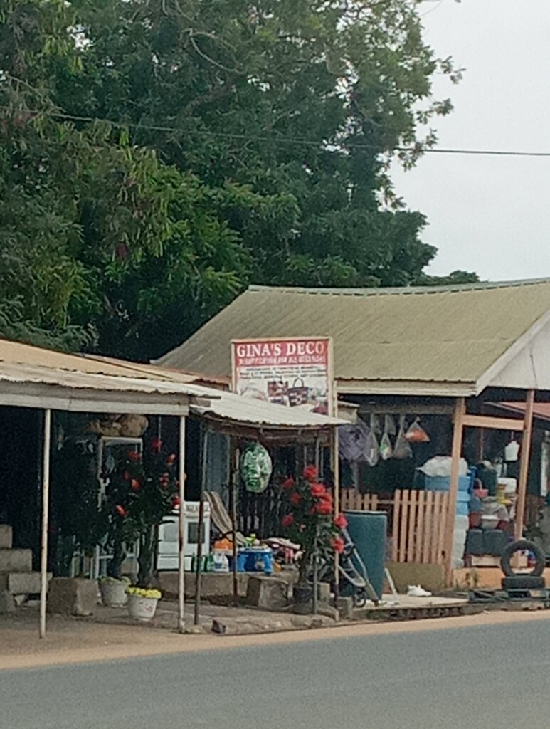Dekoratif kaplama hizmetleri Ginas deco, Dünya, foto