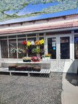 Искусственные цветы (Promyshlennaya ulitsa No:16), yapay bitki ve çiçek  Anapa'dan
