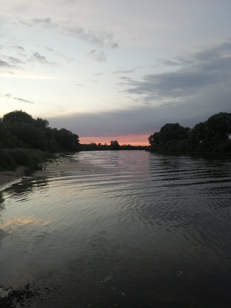 Plaj Пляж, Riazanskaya oblastı, foto