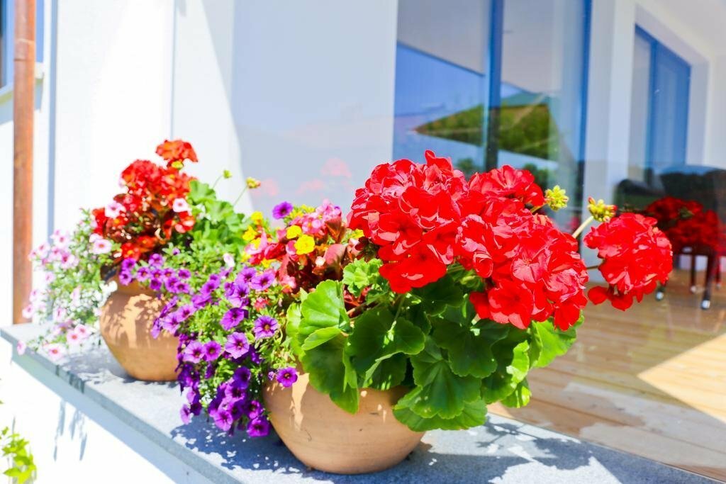 Otel Pension Reiter-Moravec, Yukarı Avusturya, foto