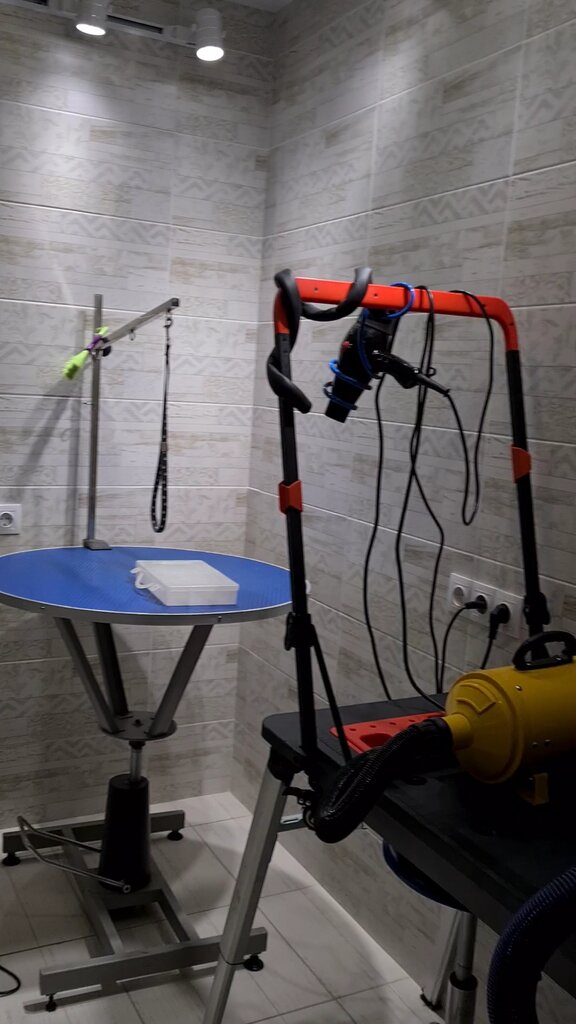 Evcil hayvan kuaförleri Лохматики, Borisov, foto