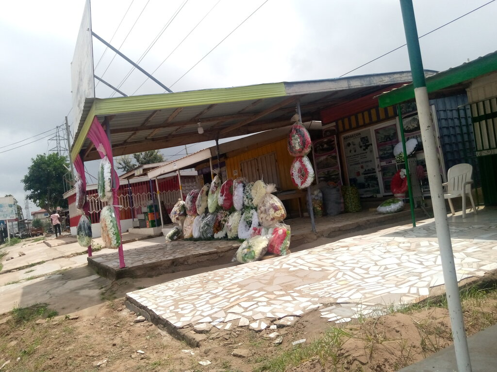 Dekoratif kaplama hizmetleri MC mina decor and event management, Dünya, foto