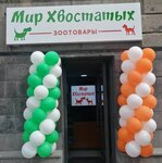 Pet Shop (Maxim Gorki Street No:57), petshop  Gümrü'den
