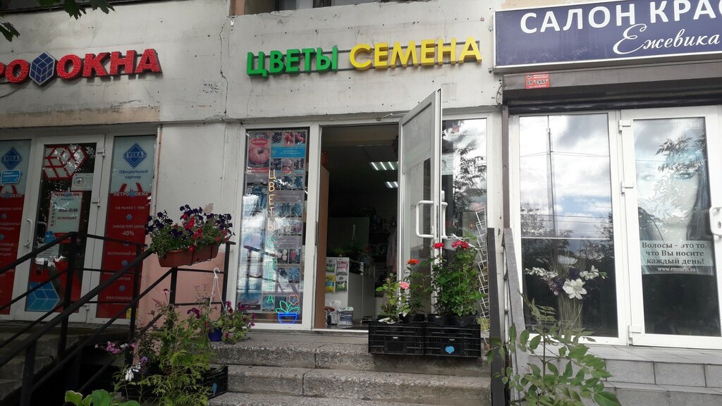 Bahçecilik mağazaları Цветы и Семена, Saint‑Petersburg, foto