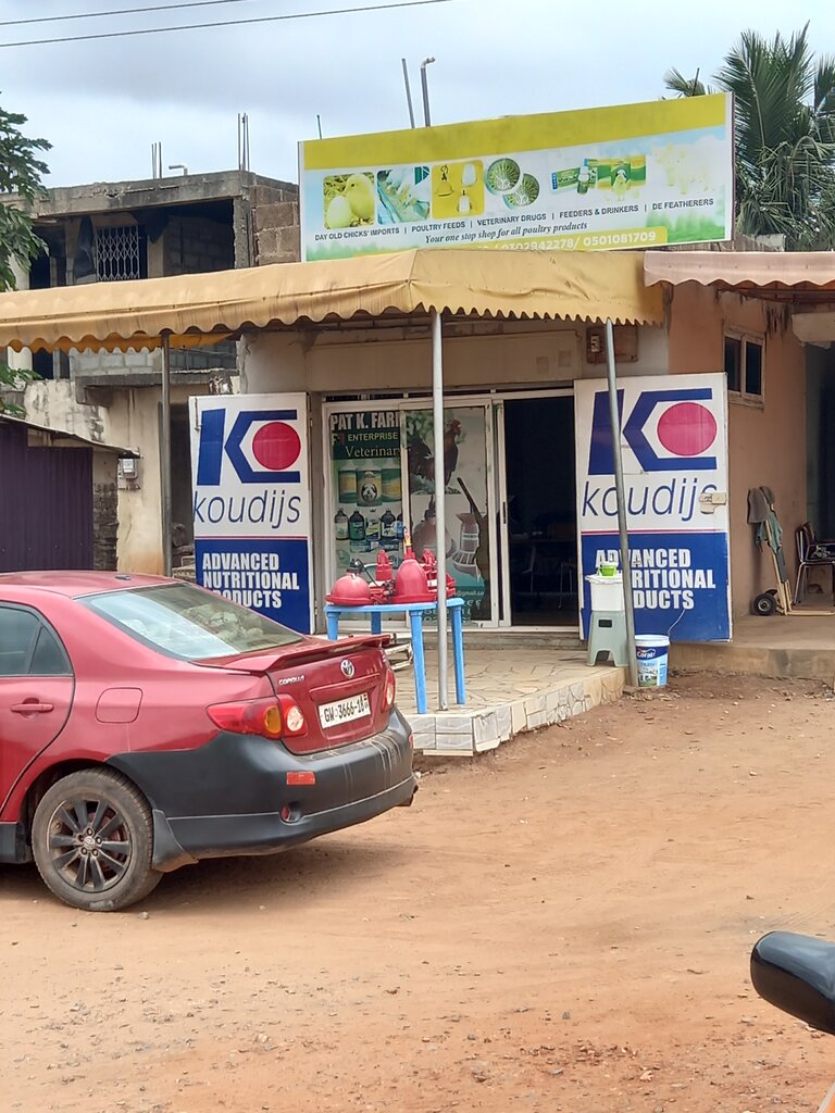 Alternatif tıp merkezleri Koudijs, Dünya, foto