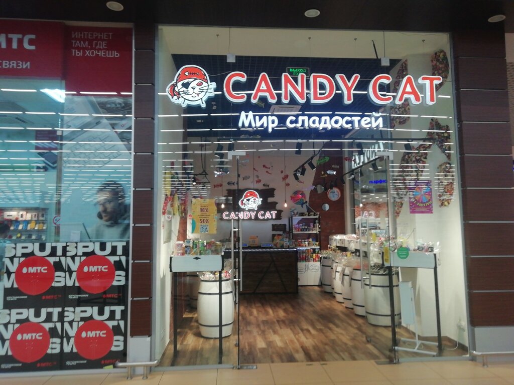 Pasta, şekerleme ve tatlı Candy cat, Tiumen, foto