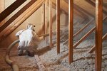 Ecovata Kostroma (Industrialnaya Street No:55), isı yalıtım malzemeleri  Kostroma'dan
