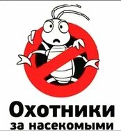 Haşere ilaçlama firmaları Anti klop, Krasnoyarsk, foto