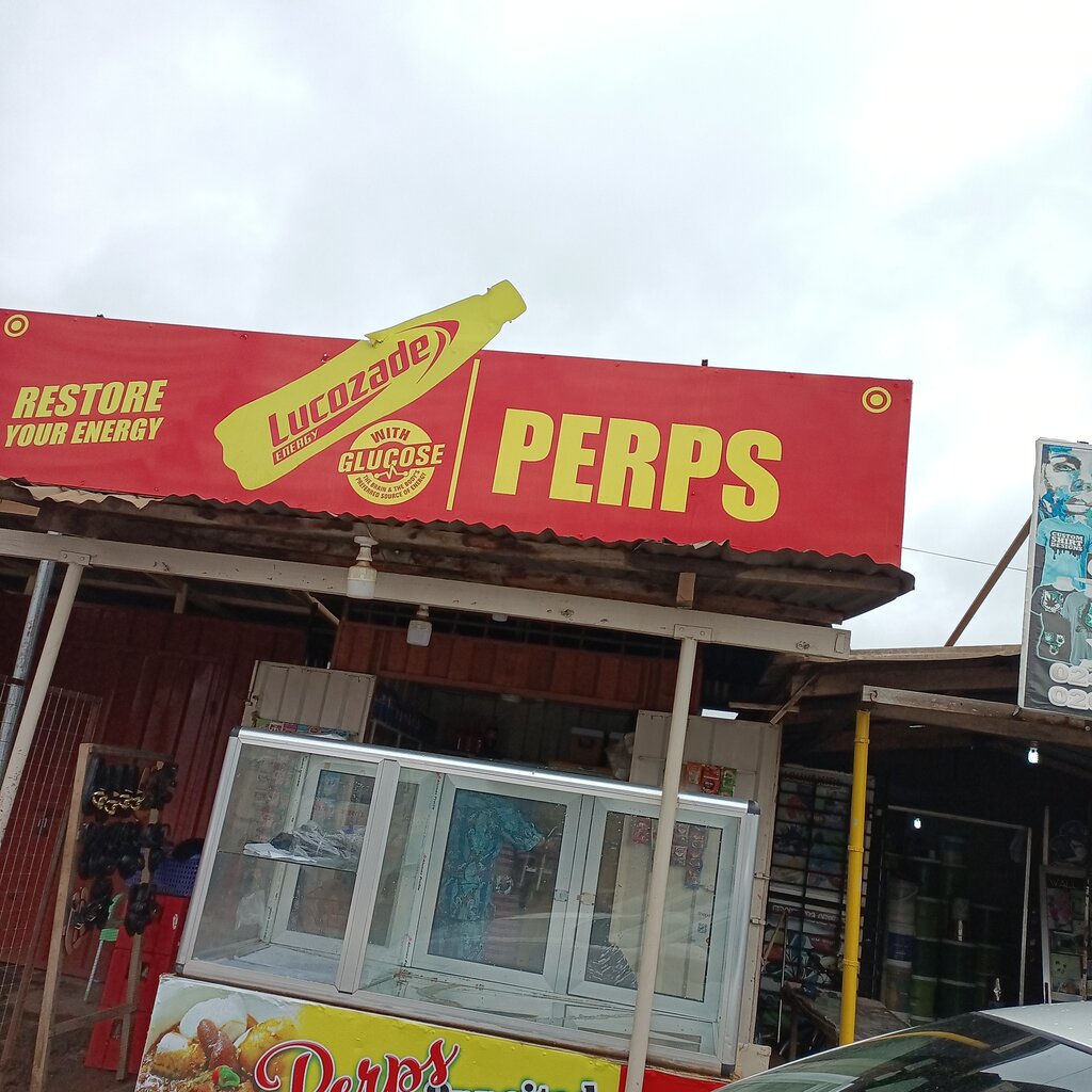 Bar Perps, Dünya, foto