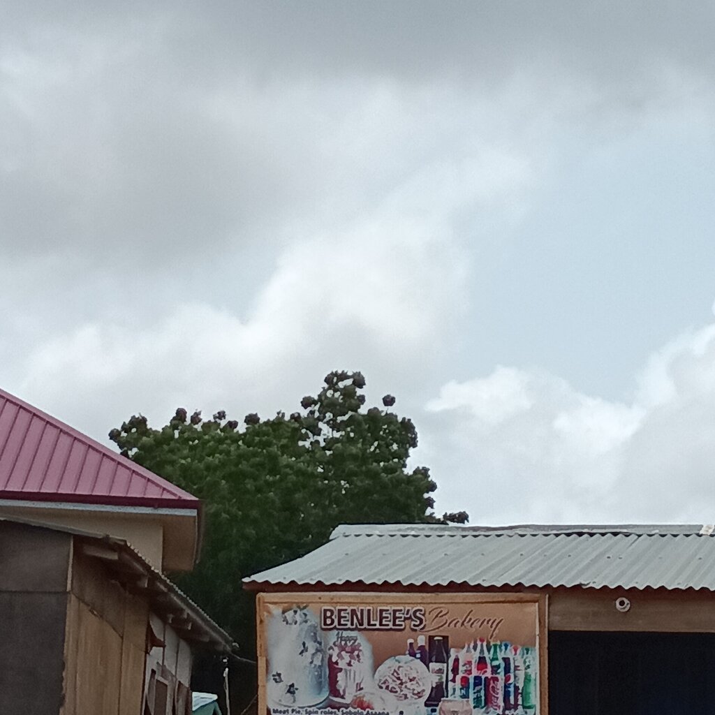 Market BenLee's bakery, Dünya, foto