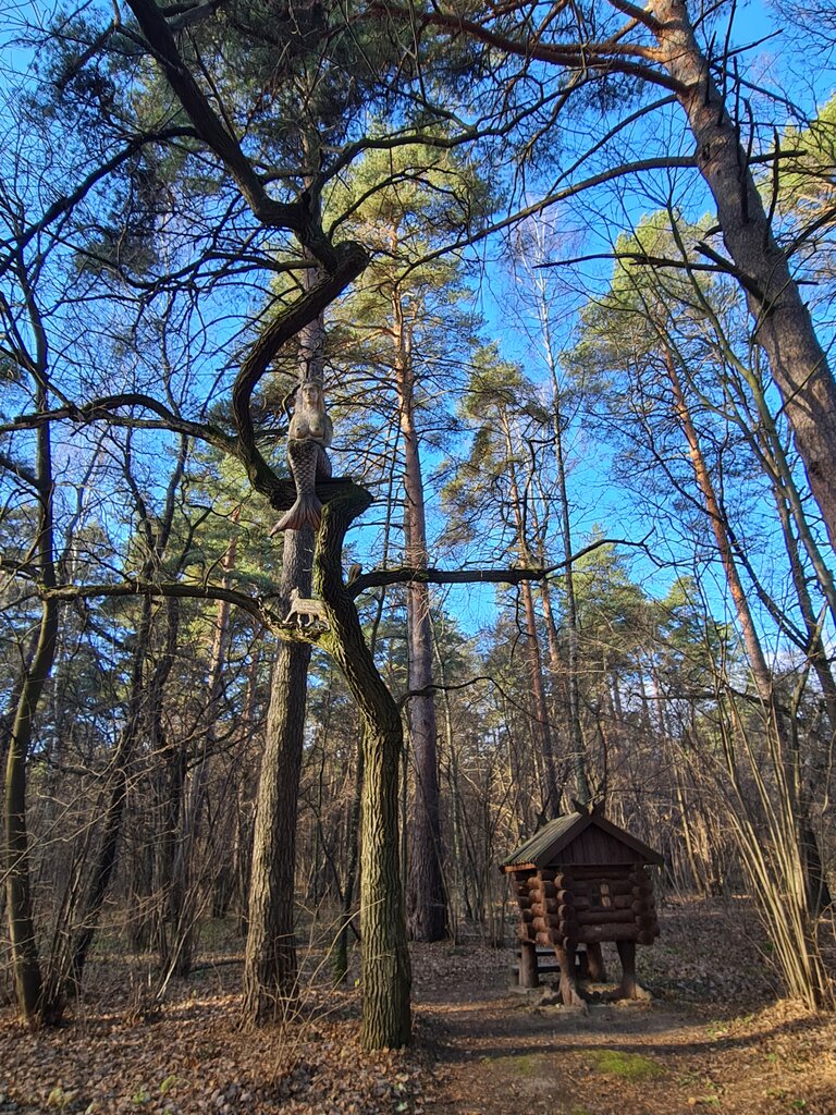 Park, sokak heykeli У Лукоморья, Moskova ve Moskovskaya oblastı, foto
