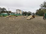 Dog park (Murmansk, Leninskiy District, 206th Microdistrict), köpek gezdirme alanları  Murmansk'tan