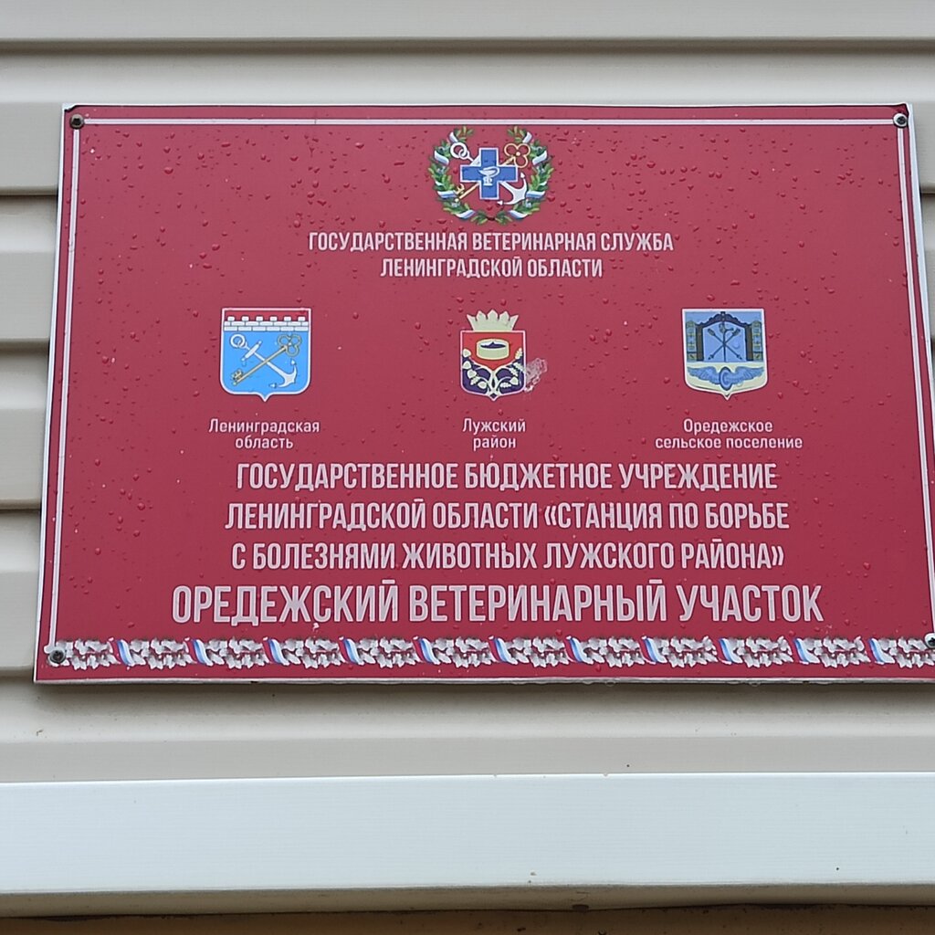 Veteriner klinikleri Ветеринарный участок, Saint‑Petersburg ve Leningradskaya oblastı, foto