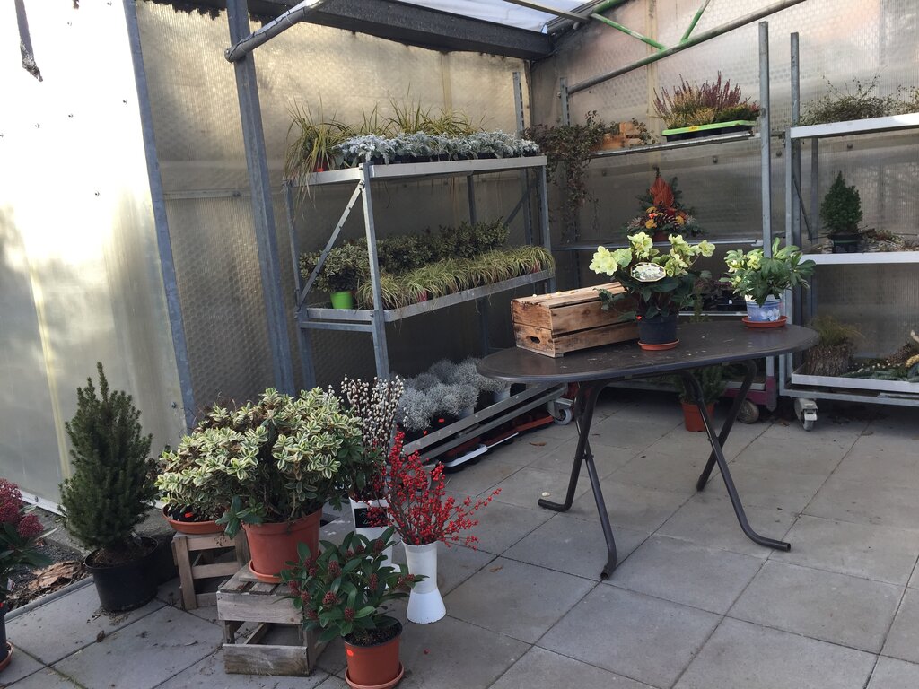 Çiçek teslimatı Blumenfreund Feindt - Blumenhaus und Gärtnerei, Saksonya, foto