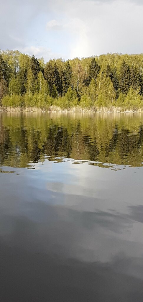 Yüzme havuzları Бассейн, Moskova ve Moskovskaya oblastı, foto
