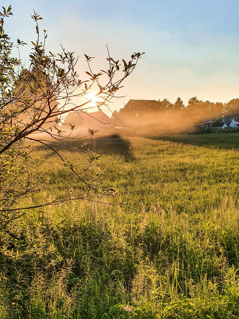 Spor alanı Футбольное поле, Moskova ve Moskovskaya oblastı, foto