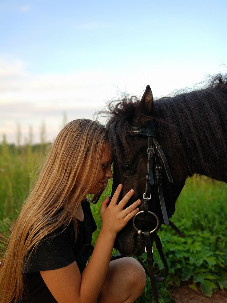 At ve binicilik kulüpleri Айвенго, Nijni Novgorod, foto