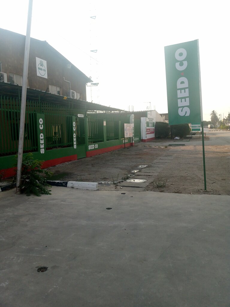 Tohum satan yerler Seed. co, Lusaka, foto