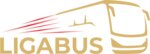 Ordering minibuses Ligabus (Voskhod Street No:1А), şehiriçi yolcu taşımacılığı  Novosibirsk'ten