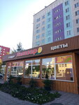 Lalazar (Karim Sutishev Street No:23), çiçekçiler  Petropavl'dan (Petropavlovsk'tan)