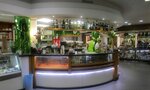 Bar Olimpia-fratelli Taresco (Abruzzo, Pescara, Via Nazionale Adriatica Nord, 318), bar  Abruzzo'dan