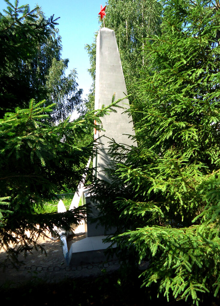 Anıt, heykel Братская могила, Vologodskaya oblastı, foto