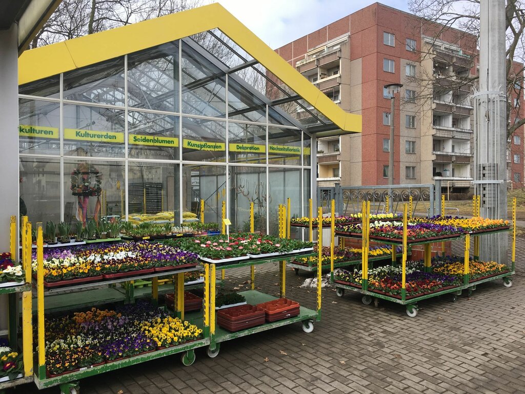 Çiçek teslimatı Blumen- und Pflanzenhaus Gärtner, Leipzig, foto