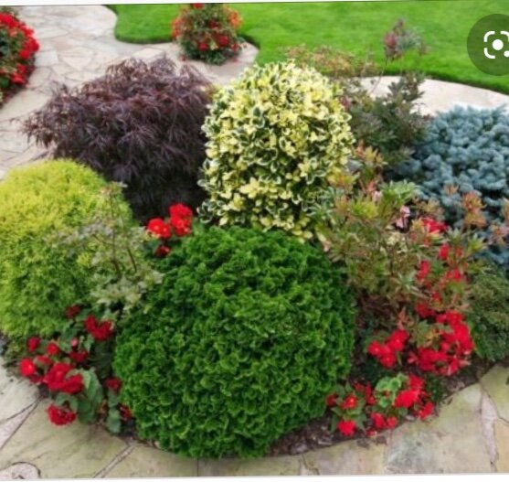 Bahçecilik mağazaları Floran’s, Otradnoe, foto