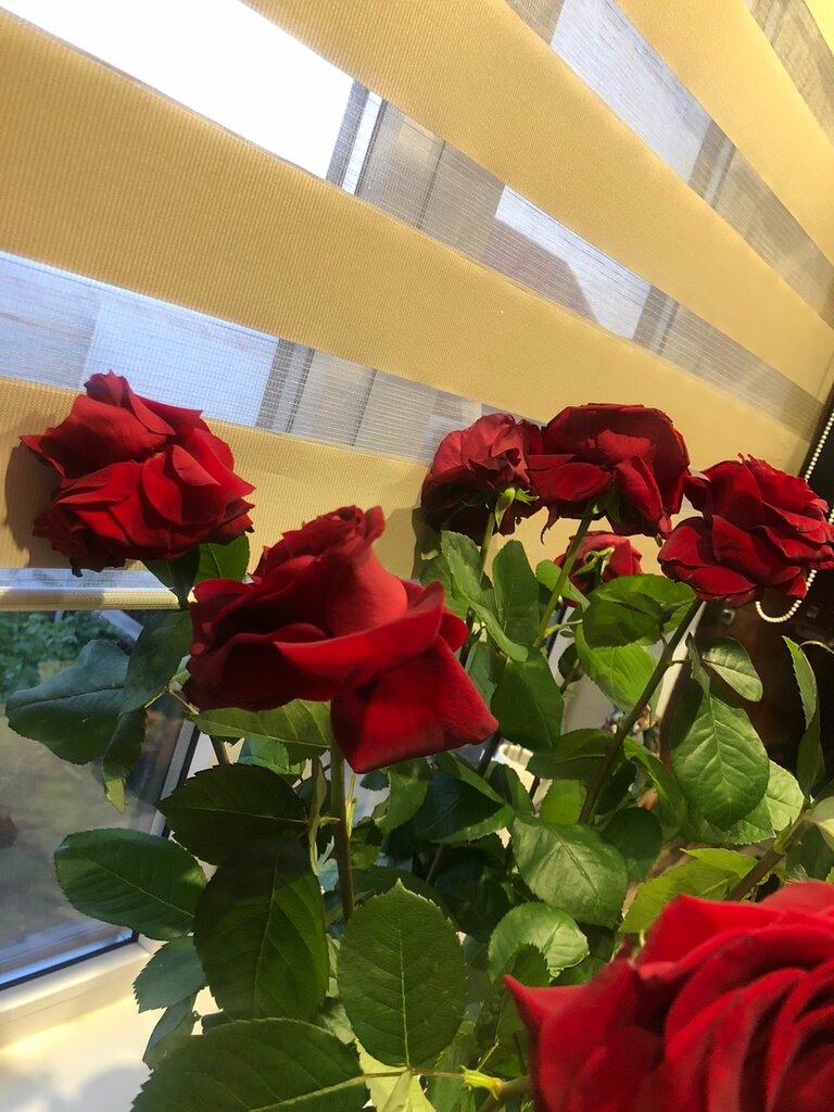Çiçekçiler Магазин цветов, Ufa, foto