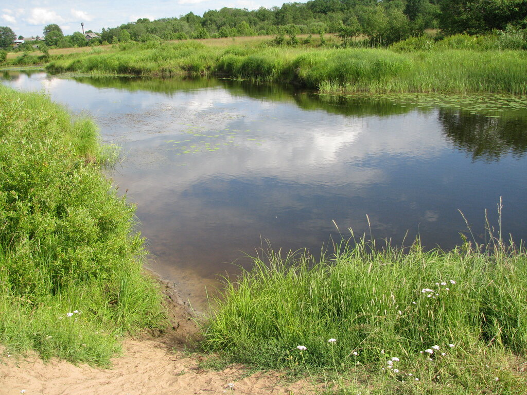 Plaj Пляж, Tverskaya oblastı, foto