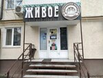 Живое (2nd Krasnodarskaya Street No:96/2), bira dükkanı  Rostov‑na‑Donu'dan