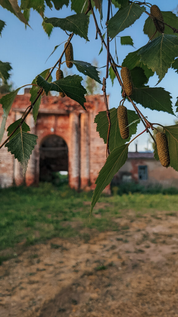 Ortodoks kiliseleri Tserkov Mikhaila Arkhangela V Korobovo, Vologodskaya oblastı, foto