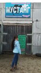 Мустанг (Novaya ulitsa No:15), at ve binicilik kulüpleri  Megion'dan