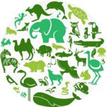 Zoomagazin Zhivoy mir (Svobodny prospekt No:53), petshop  Krasnoyarsk'tan