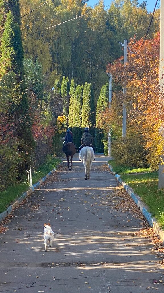 At ve binicilik kulüpleri КСК Атмосфера, Koroliov, foto