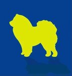 Snoopy Dogs (Sovetskaya Street No:43, Pervomayskiy Microdistrict), evcil hayvan kuaförleri  Koroliov'dan