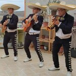Mariachi Show Imperial (Coquimbo Region, Provincia de Limarí, Fray Jorge), nakliye firmaları  Coquimbo'dan