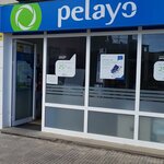 Oficina Seguros Pelayo (Calle Tomás Zerolo No:70, La Orotava), sigorta şirketleri