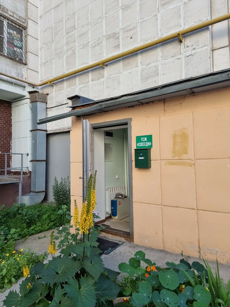 Bina, site yönetimi Соседи, Perm, foto