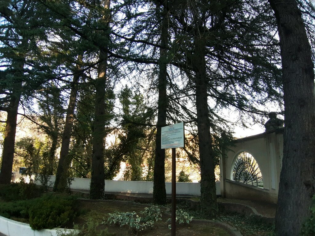 Parklar ve ormanlar Сосновая роща, Soçi, foto
