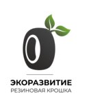 Ecorazvitie (Semyona Remezova Street No:113Б), kaldırım taşları  Tobolsk'tan