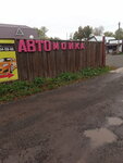 At Alyonka 's (Sadovaya Street No:6А), oto yıkama  Yadrin'den