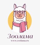 Zoolama (Medikov Street No:16), petshop  Moskova'dan